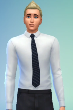 Matt | Sims Big Brother Wikia | Fandom
