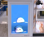 JANKIE | Big Brother Wiki | Fandom