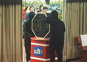 Ninjas | Big Brother Wiki | Fandom