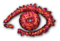 Big Brother 11 (UK) | Big Brother Wiki | Fandom