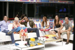 Big Brother Brasil 9 | Wikia Big Brother Brasil | Fandom