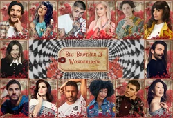 Big Brother 3 | BigBrotherCeleb Wiki | Fandom