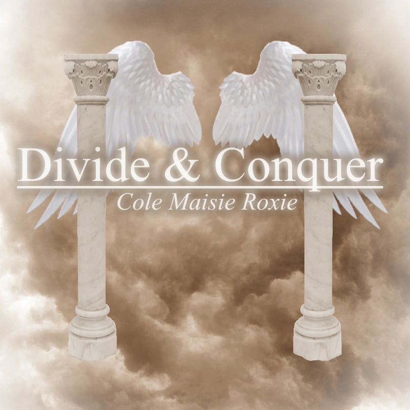 Divide & Conquer | BigBrotherCeleb Wiki | Fandom