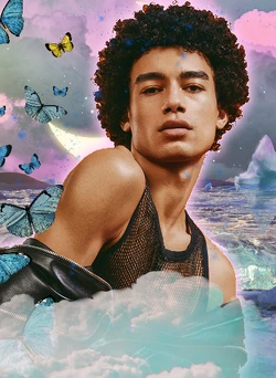 Noah Phelps | BigBrotherCeleb Wiki | Fandom