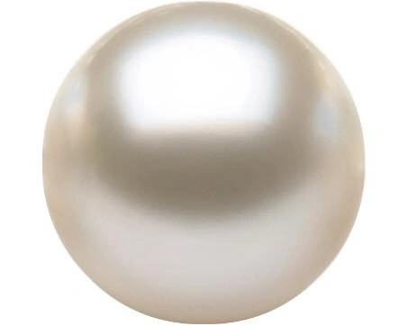 Jesus, These F***ing Muppets | BigBrotherOrg Wiki | Fandom