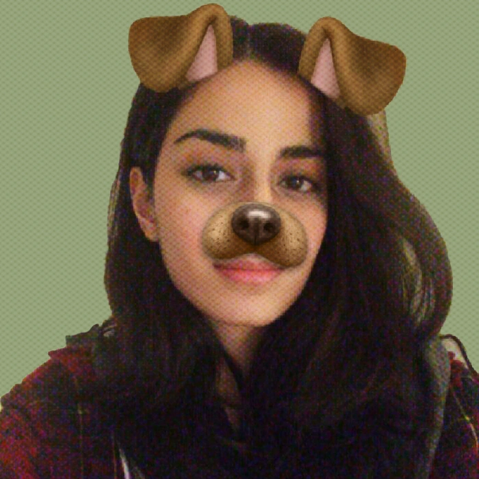 Zeezo | Big Brother Pokemon Wikia | Fandom