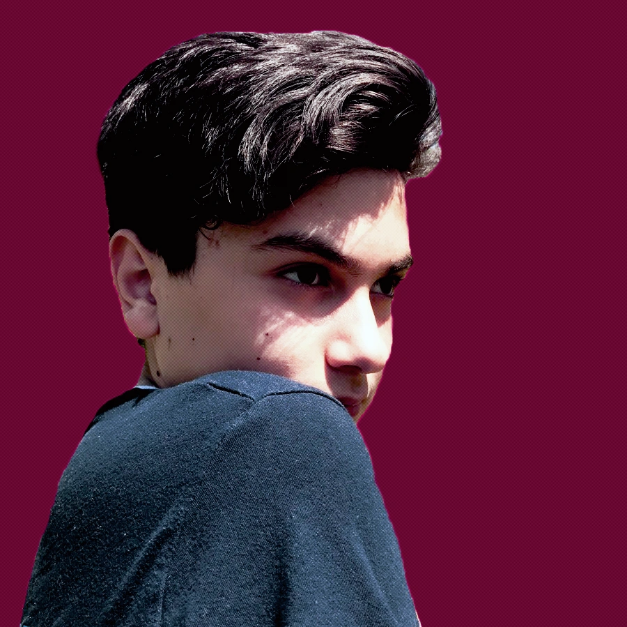 Emmon | Big Brother Pokemon Wikia | Fandom