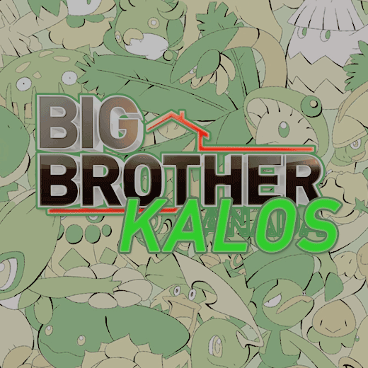 Amir | Big Brother Pokemon Wikia | Fandom