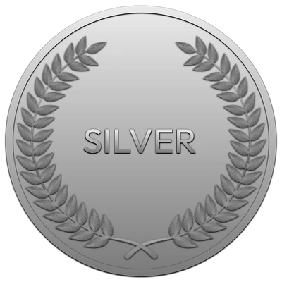 Silver Tier (The Challenge) | Big Brother on Snapchat Wiki | Fandom