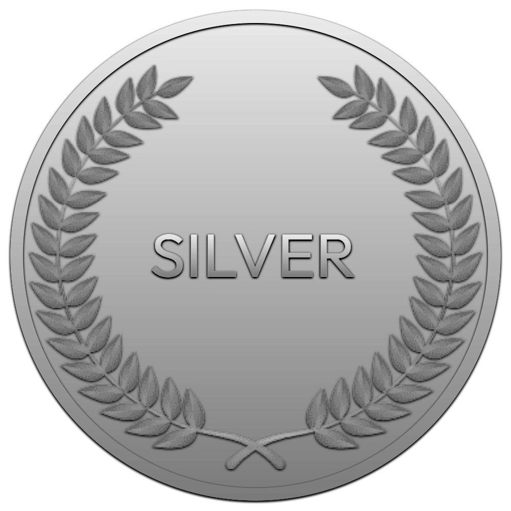 Silver Tier (The Challenge) | Big Brother on Snapchat Wiki | Fandom