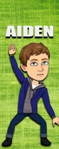 Aiden | Big Brother on Snapchat Wiki | Fandom