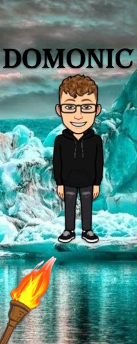 Domonic (Snapvivor) | Big Brother on Snapchat Wiki | Fandom