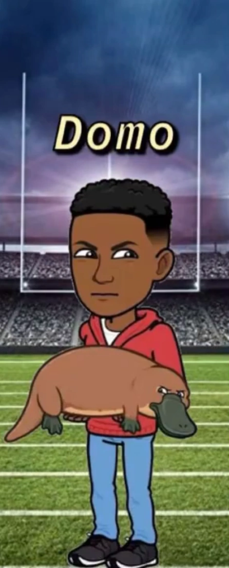 Domo | Big Brother on Snapchat Wiki | Fandom