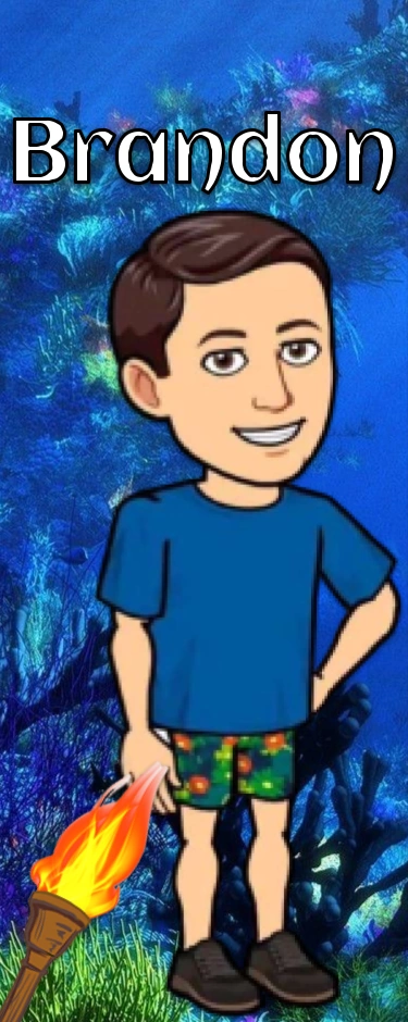 Brandon (Snapvivor) | Big Brother on Snapchat Wiki | Fandom