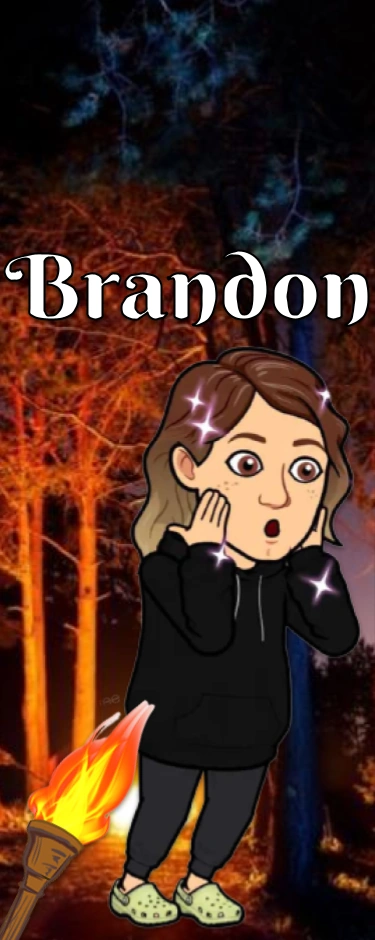 Brandon (Snapvivor) | Big Brother on Snapchat Wiki | Fandom