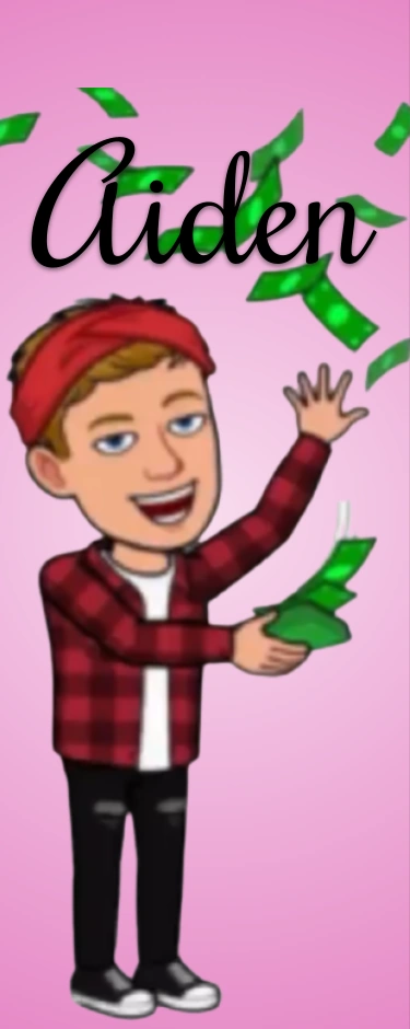 Aiden | Big Brother on Snapchat Wiki | Fandom