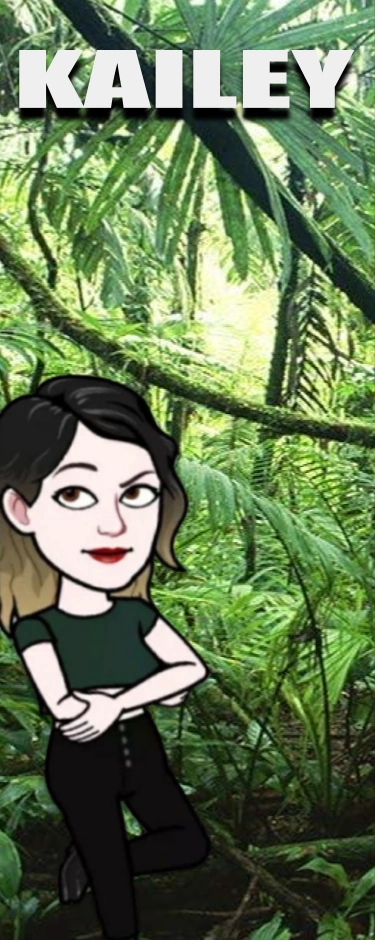 Kailey | Big Brother on Snapchat Wiki | Fandom