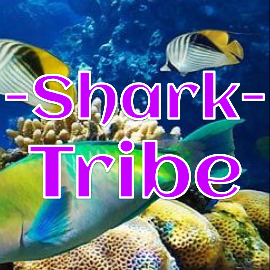 Sharks | Big Brother on Snapchat Wiki | Fandom