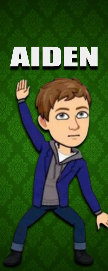 Aiden | Big Brother on Snapchat Wiki | Fandom