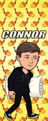 Connor | Big Brother on Snapchat Wiki | Fandom