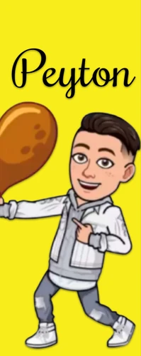 Peyton | Big Brother on Snapchat Wiki | Fandom