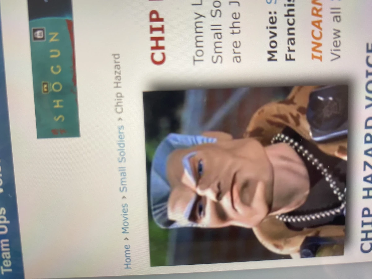 Chip Hazard | Big Cat Wiki | Fandom