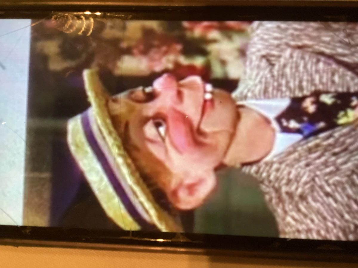 Mortimer Snerd | Big Cat Wiki | Fandom