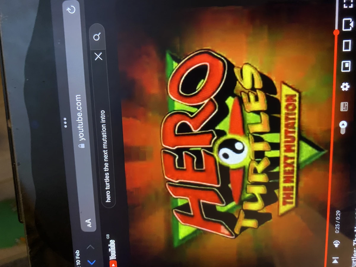 Hero Turtles the Next Mutation | Big Cat Wiki | Fandom