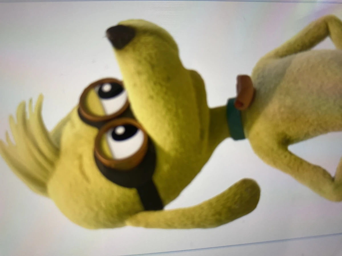 Frank | Big Cat Wiki | Fandom