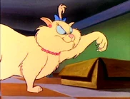 Kismet | Big Cat Wiki | Fandom