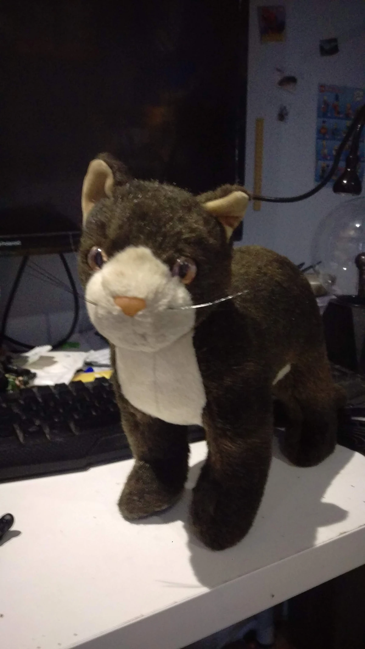 Tiger (Main Timeline) | BigChill10 Wiki | Fandom