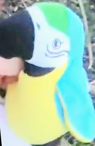 Squawk (Main Timeline) | BigChill10 Wiki | Fandom