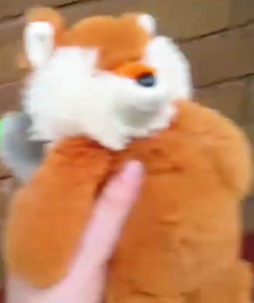 Red Panda (Main Timeline) | BigChill10 Wiki | Fandom