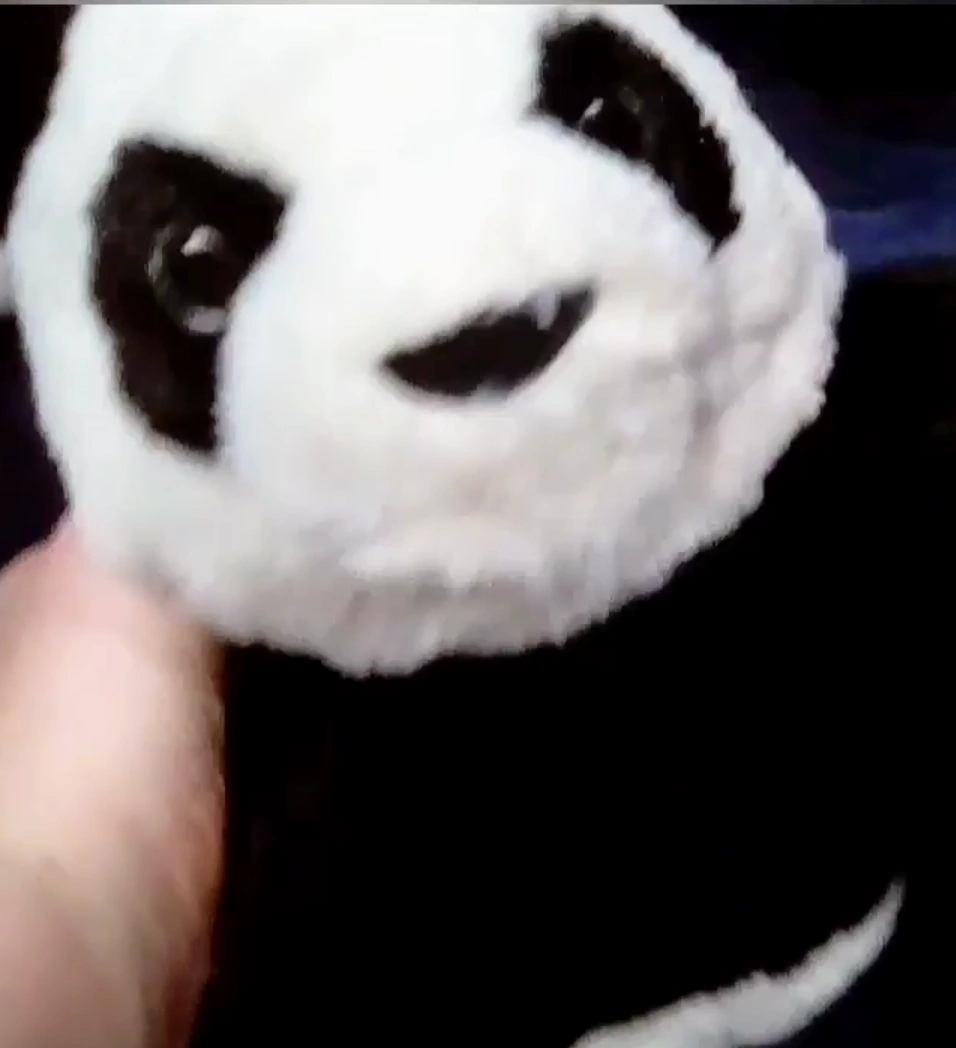 House Panda (Main Timeline) | BigChill10 Wiki | Fandom