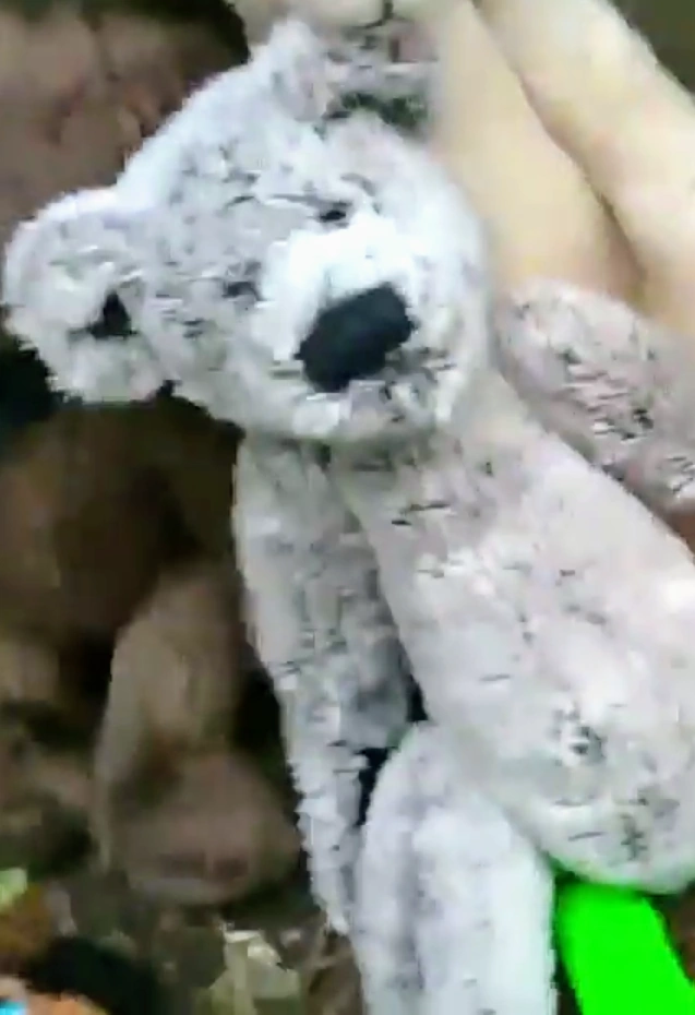 Greybear (Main Timeline) | BigChill10 Wiki | Fandom