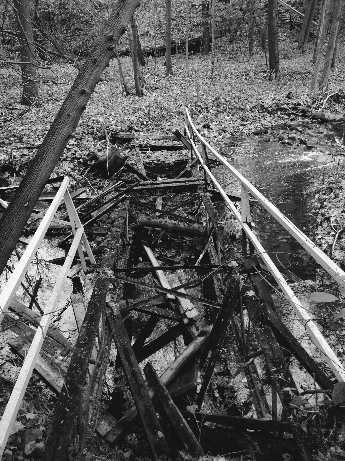 Battle of the Buss | Big Daddies United Wiki | Fandom