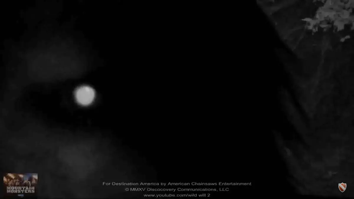 Midnight whistler | Bigfoot Wiki | Fandom