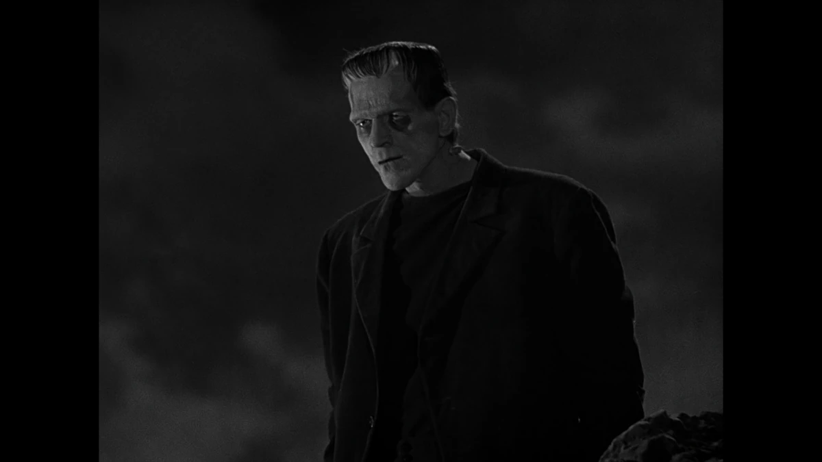 Frankenstein | Bigger Universe in Real Life Wiki | Fandom