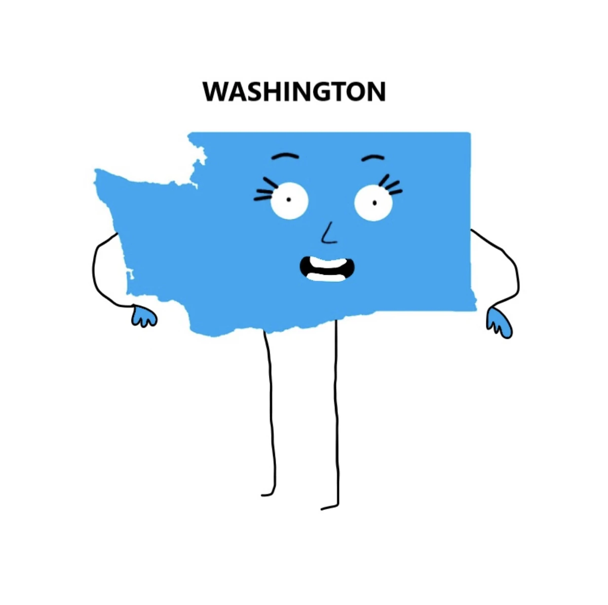 Washington | Biggest Scrambled States Designs Wiki | Fandom