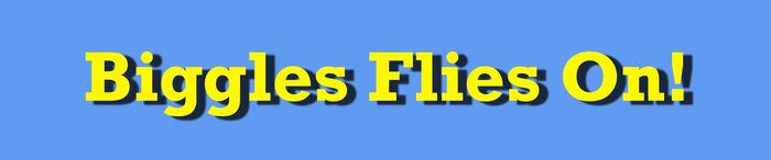 Biggles Wiki | Fandom