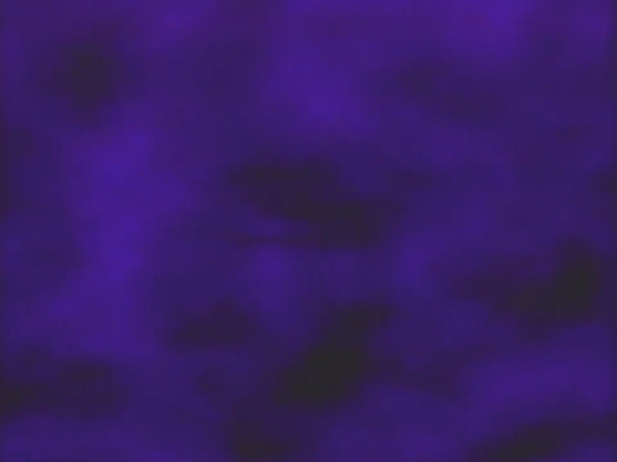 Veggietales Larryboy And The Fib From Outer Space Wiki