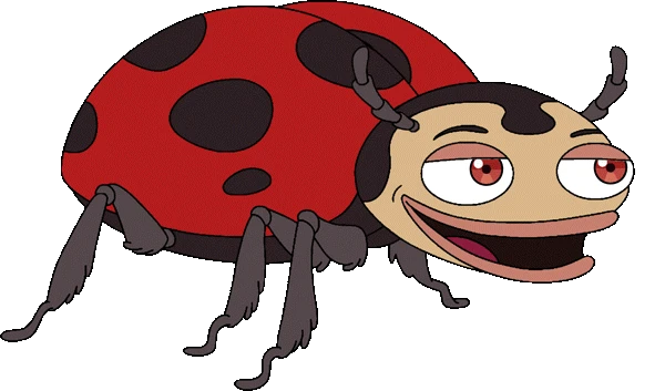 Ladybug Flying Gif