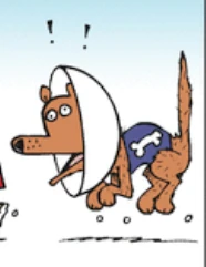 Spitsy (Novels) | Big Nate Wiki | Fandom