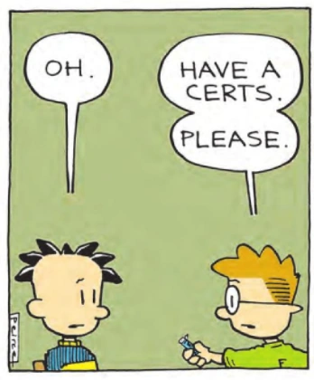 Certs | Big Nate Wiki | Fandom