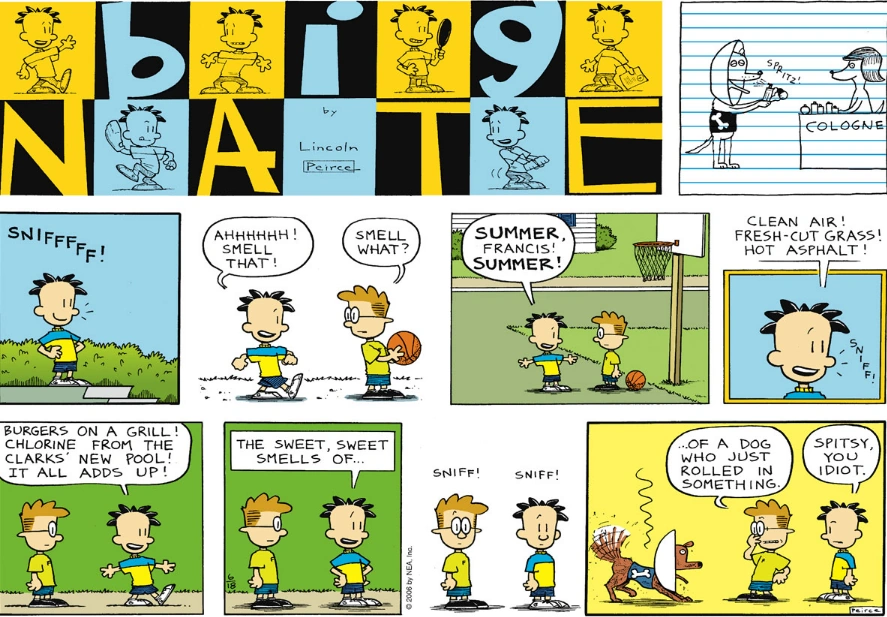 Comic Strip: June 18, 2006 | Big Nate Wiki | Fandom