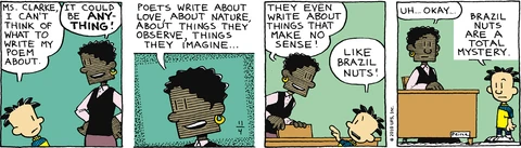 Brazil Nuts | Big Nate Wiki | Fandom