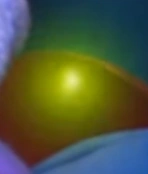 Firefly | Big & Small Wiki | Fandom