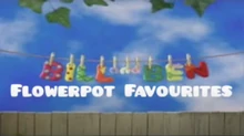 Flowerpot Favourites | BILL and BEN Wiki | Fandom