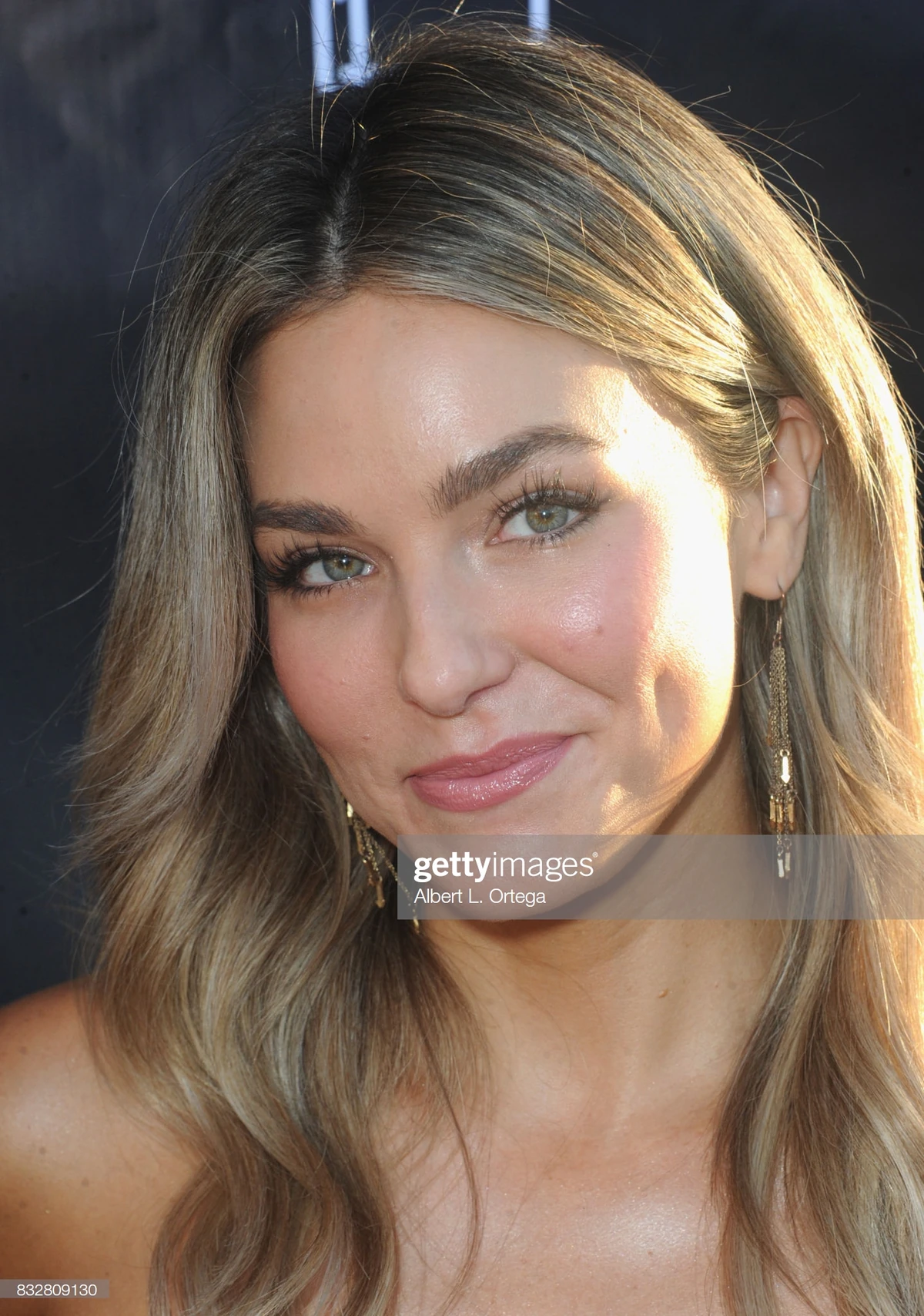 Heather Locklear | Billionaireclub Wiki | Fandom