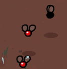 Mosca/Clásico | The Binding of Isaac Wiki | Fandom